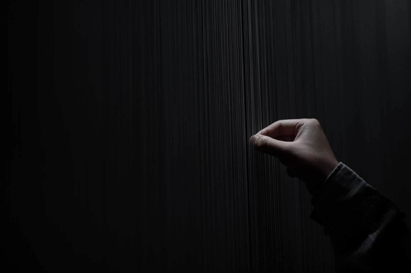 光をそそぐ – スタジオ・ポエティック・キュリオシティ Studio POETIC CURIOCITY